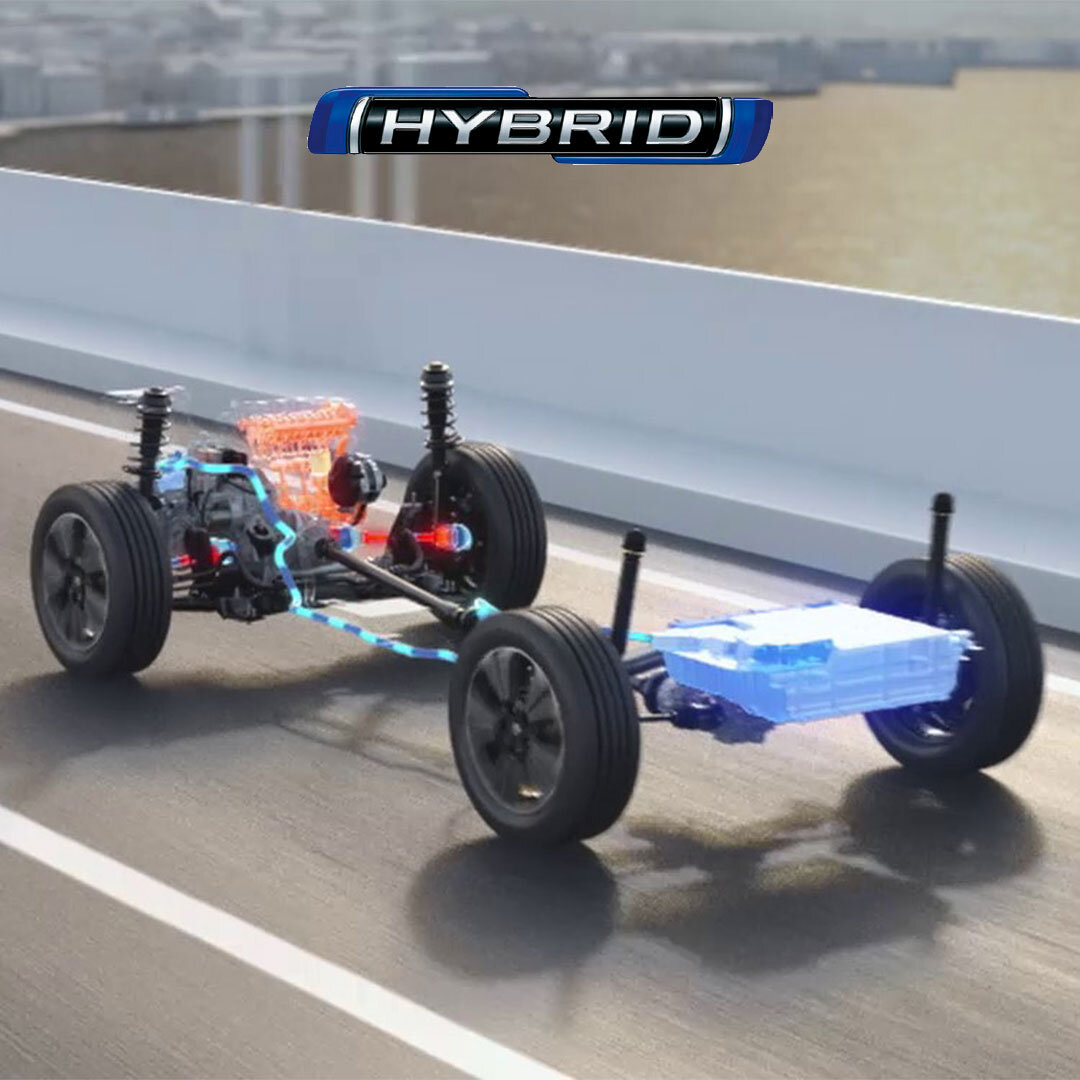 Suzuki Strong Hybrid – Das große Interview | Offizielle Website Suzuki ...